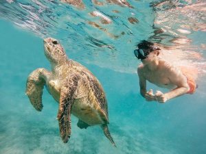 Visiting Turtle Beach in Siesta Key - Siesta Key Dreams